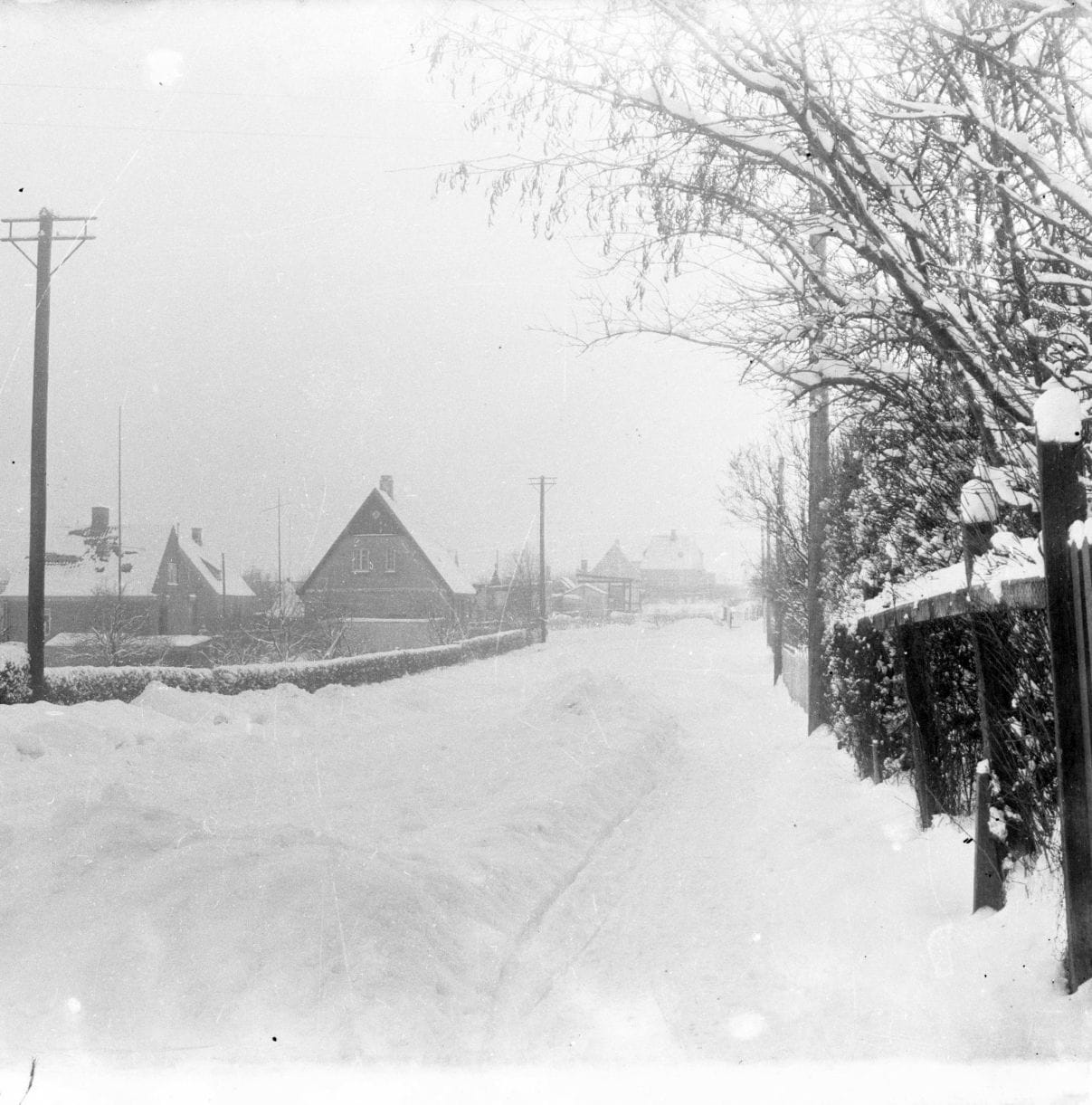Vinter - Min Samling